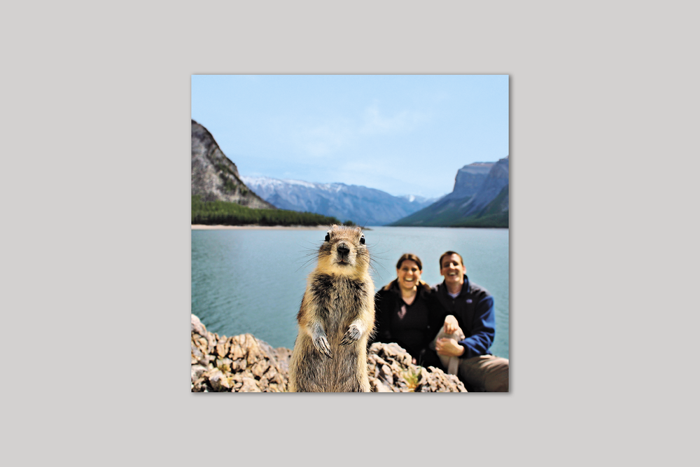 Ninja Chipmunk Greeting Card | Icon