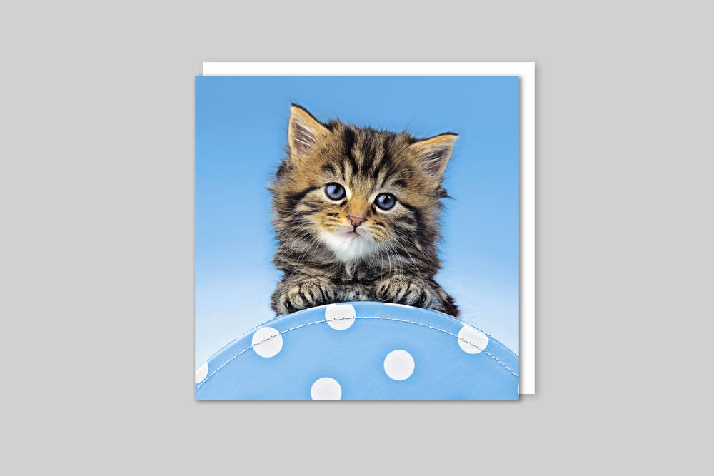 Tiny Tom Greeting Card | Icon