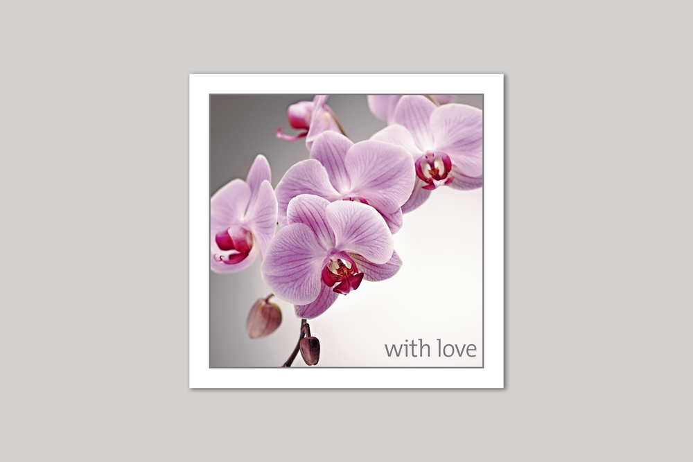 Pink Orchids Greeting Card | Icon