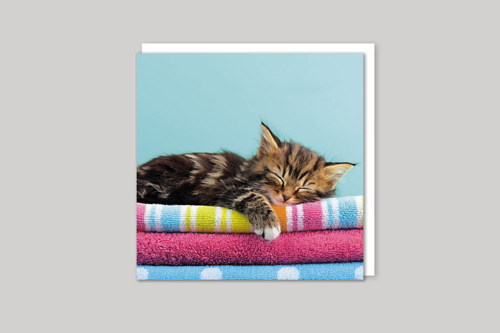 Sleepy Cat Greeting Card | Icon