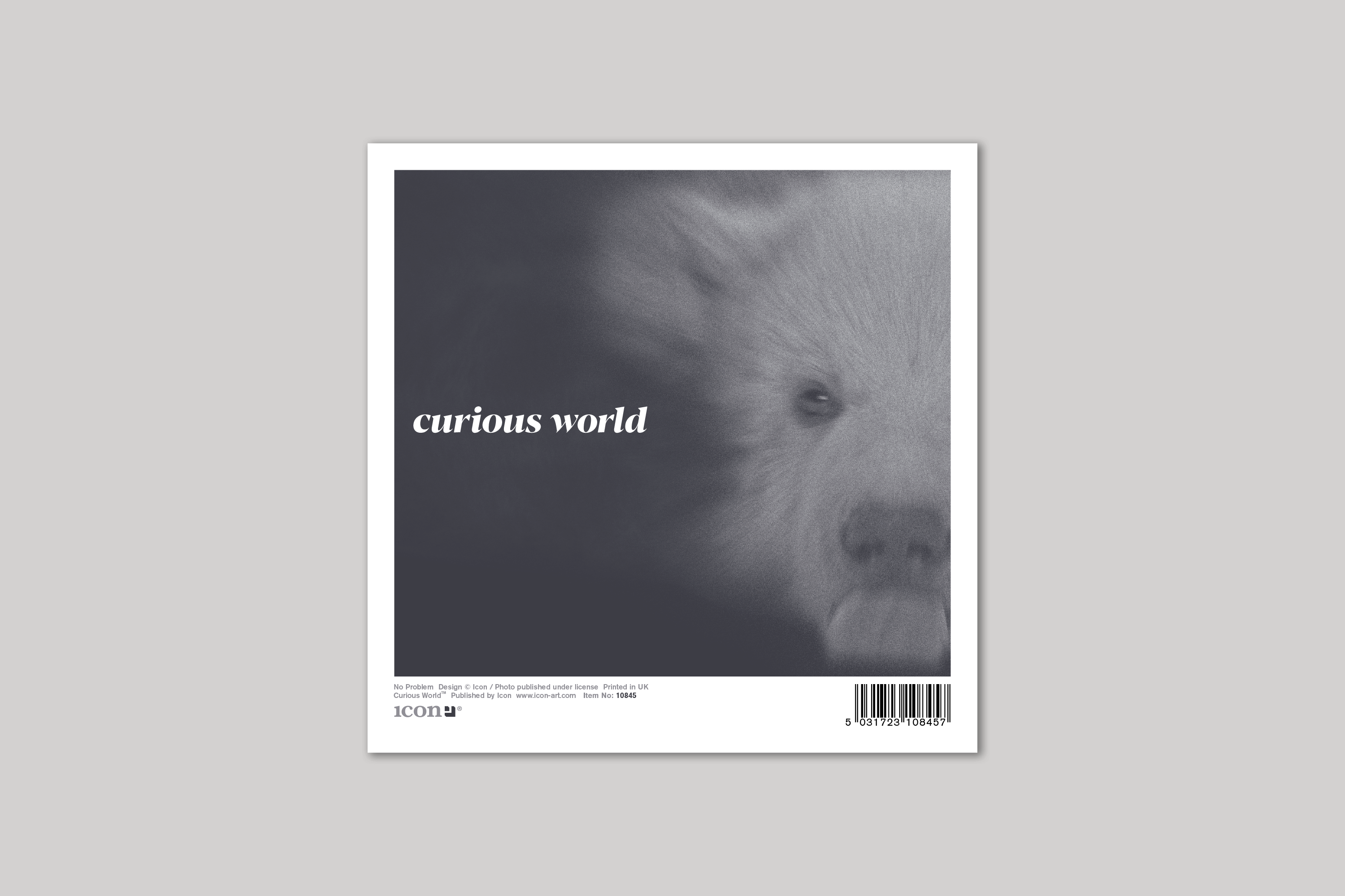 curious world cards