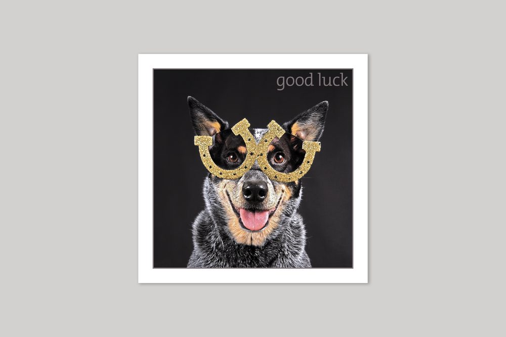 Dog Greeting Card | Icon