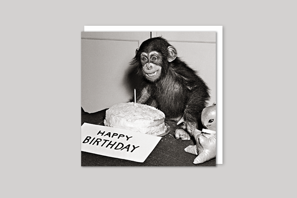 Happy Birthday Chimp Greeting Card | Icon