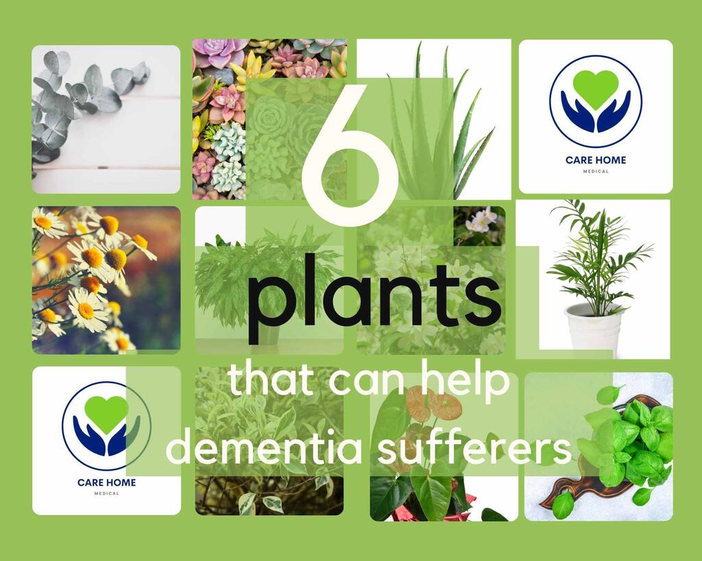 Plants and gardening are a rich source of memory | Care Home Medical ...
