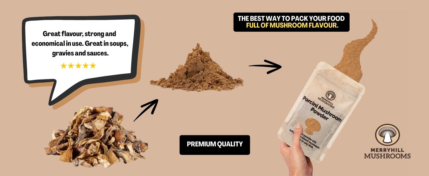 Buy Porcini Mushroom Powder | Merryhill Mushrooms