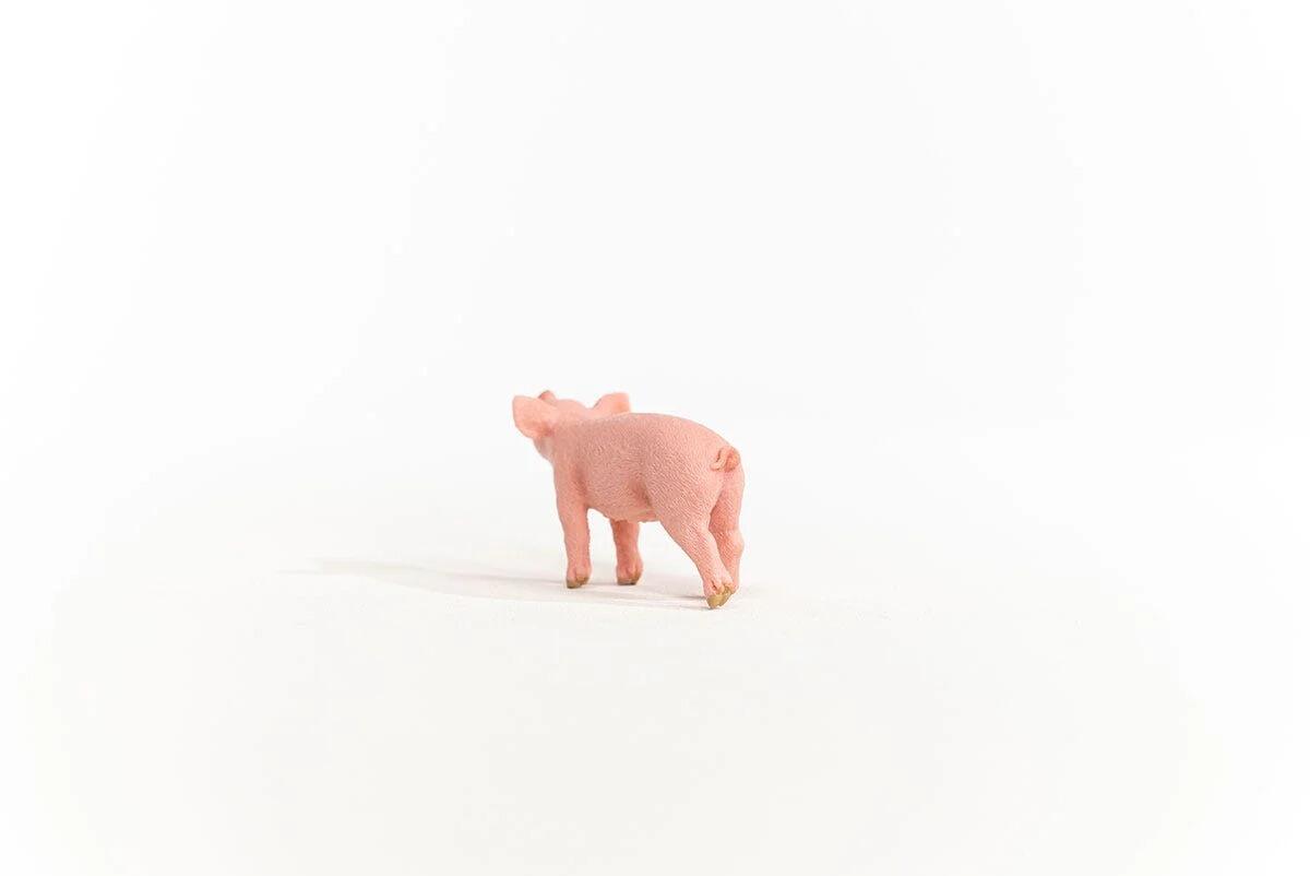 Buy Piglet Figurine | Schleich Farm Animal Toy
