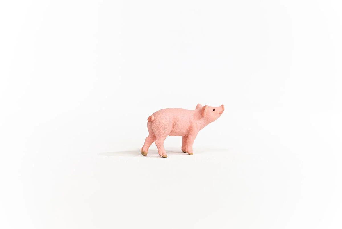 Buy Piglet Figurine | Schleich Farm Animal Toy