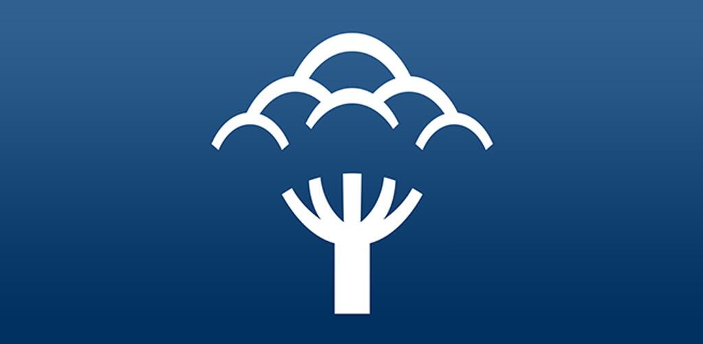 An In-depth Review Of Bluepark