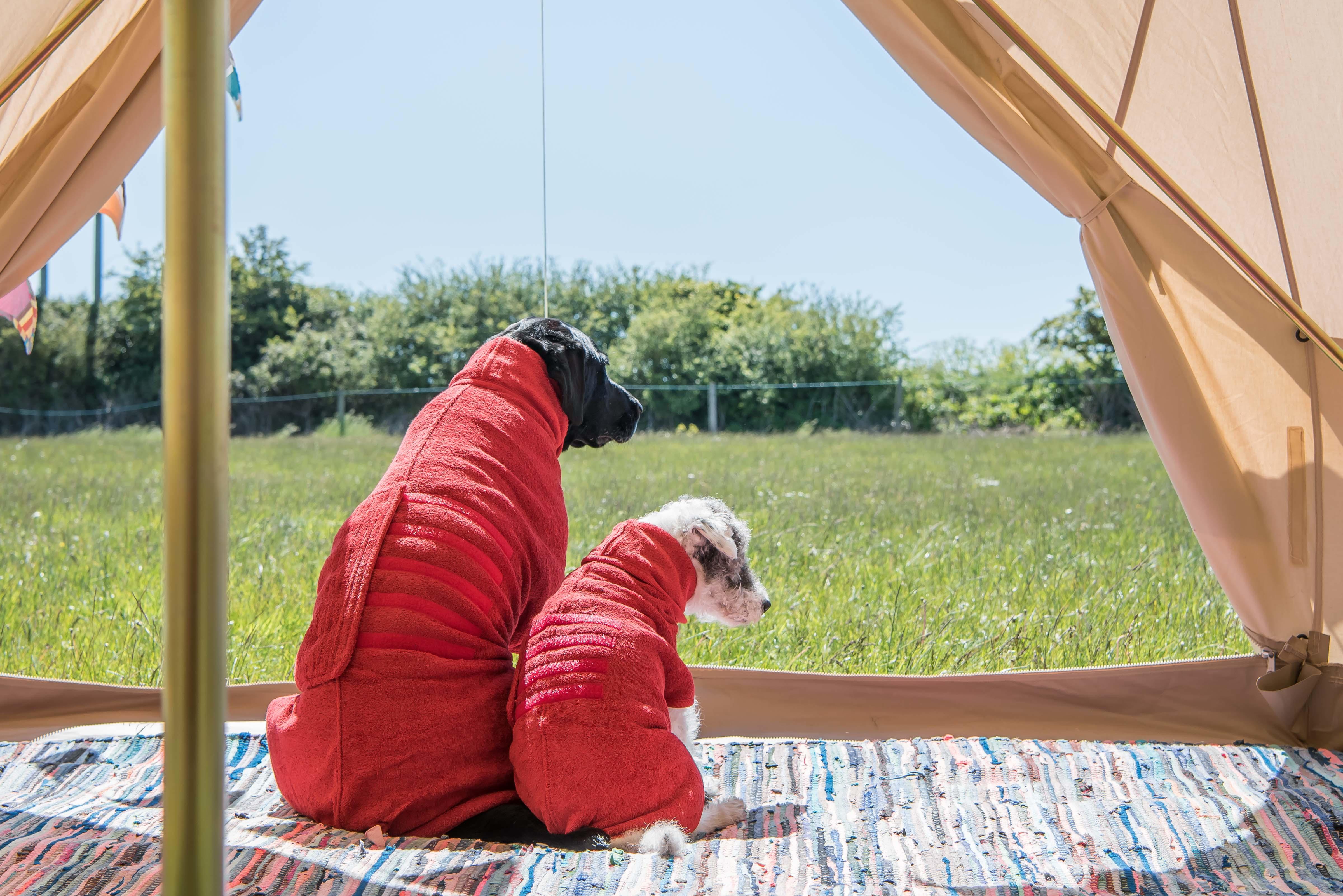 Classic Red Ruff and Tumble Dog Drying Coat