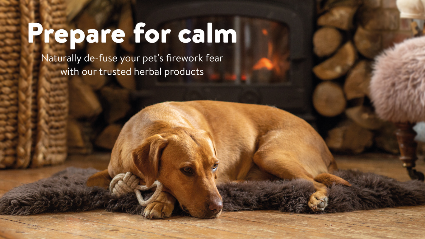 Petshop Postie | Petfood and Supplies direct to your door