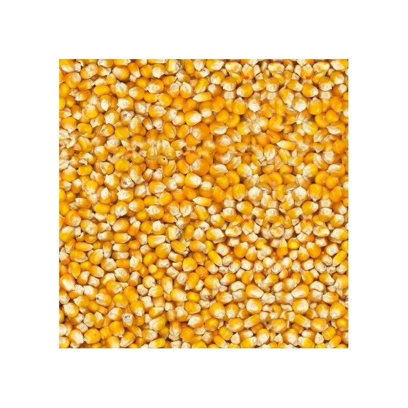 Pigeon - Small French Maize 20kg