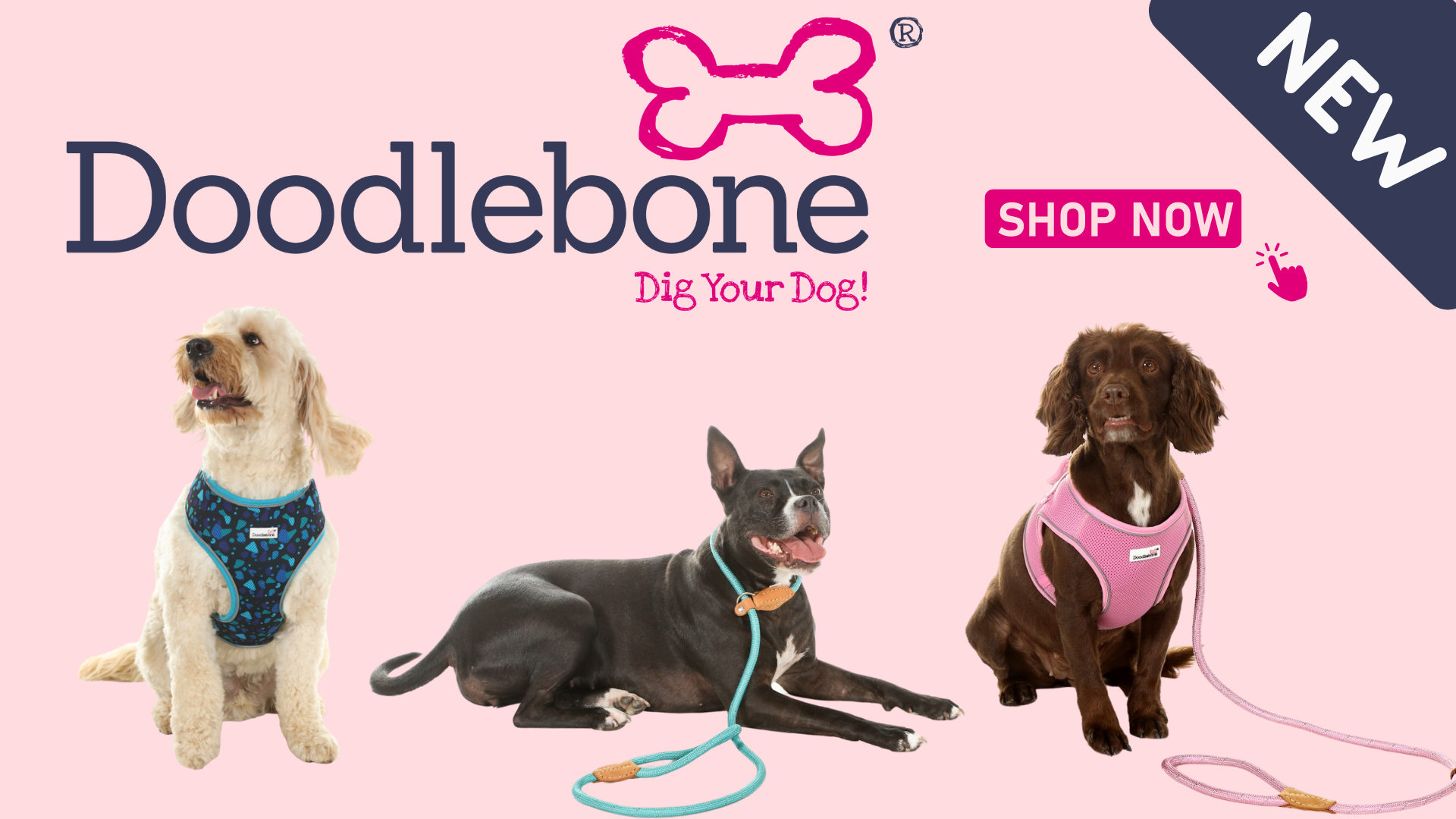 Petshop Postie | Petfood and Supplies direct to your door