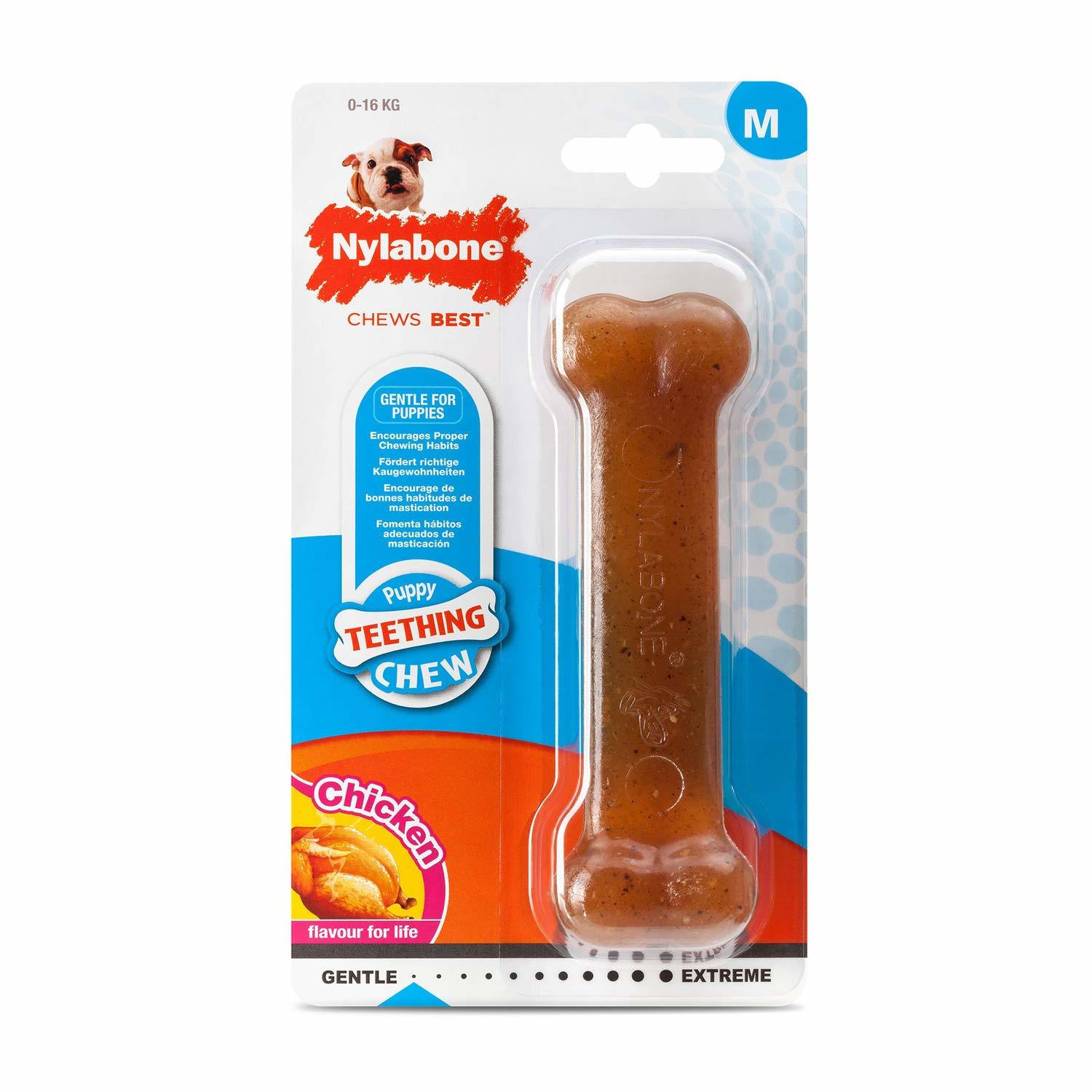 Nylabone Flexible Puppy Bone
