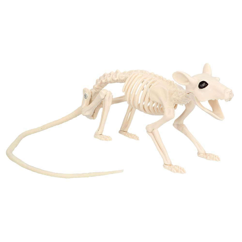 Skeleton Rat Prop