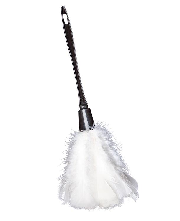 Feather Duster