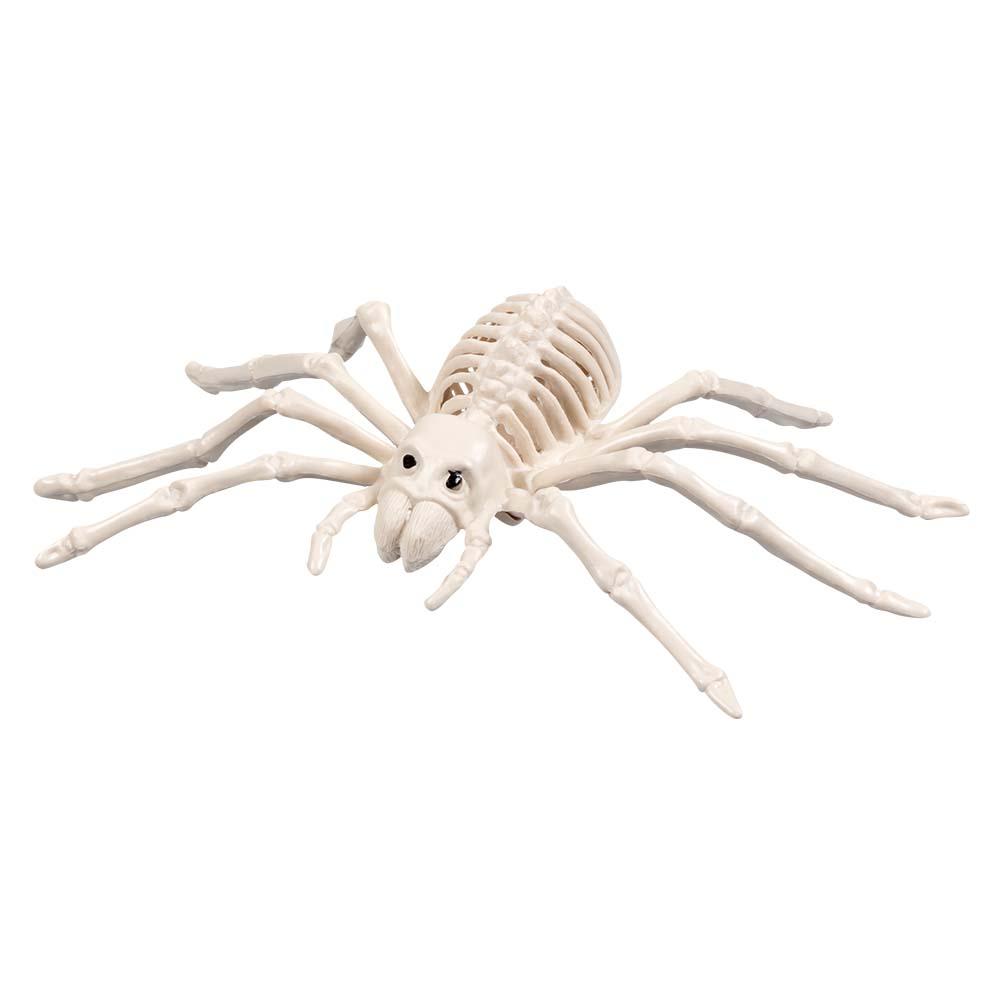 Skeleton Spider Prop