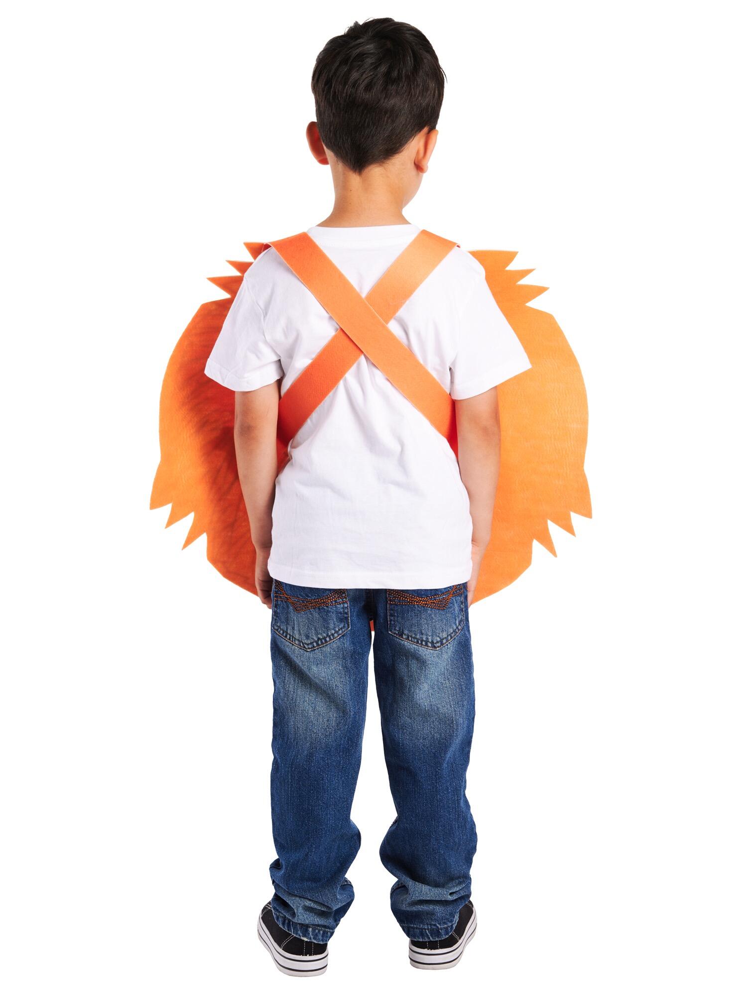 Kids Fing Costume | David Walliams World Book Day