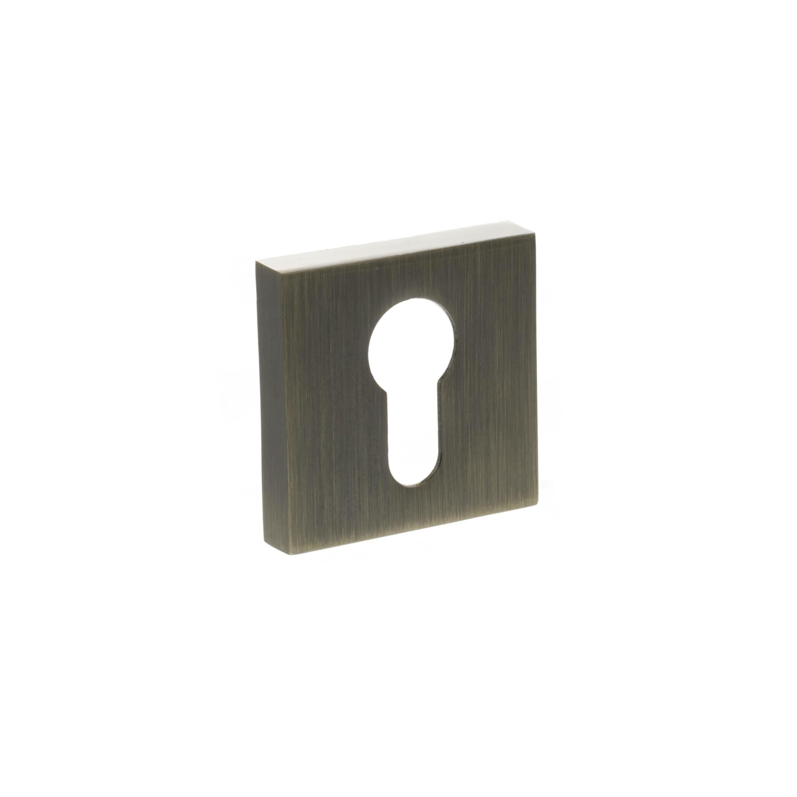 Status Euro Escutcheons On S4 Square Rose