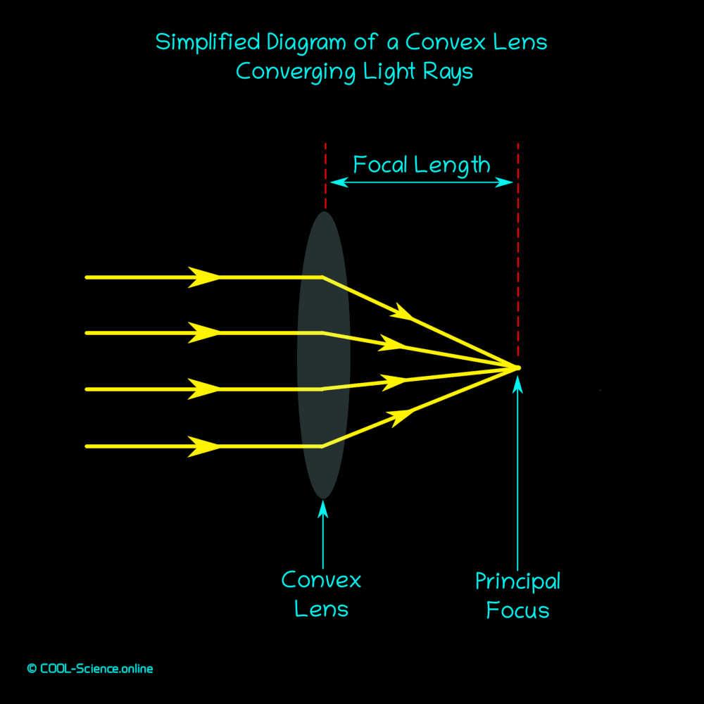 COOL Science Blog Magnifying Glasses More Going On Than You d Think 