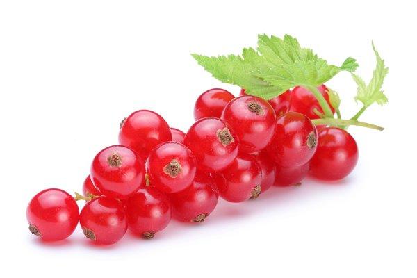 Redcurrant (125g)