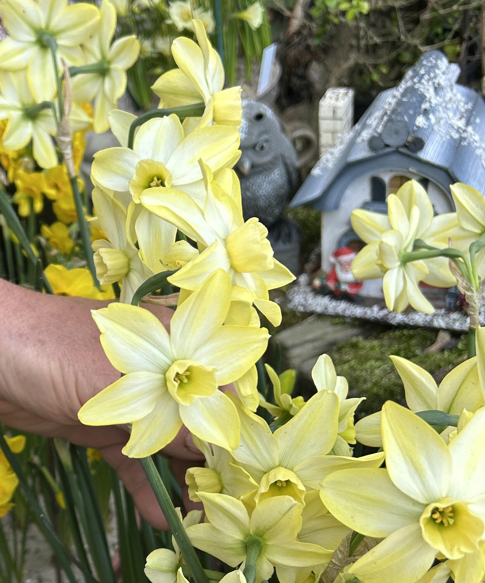 Home [www.hwhyde.co.uk]