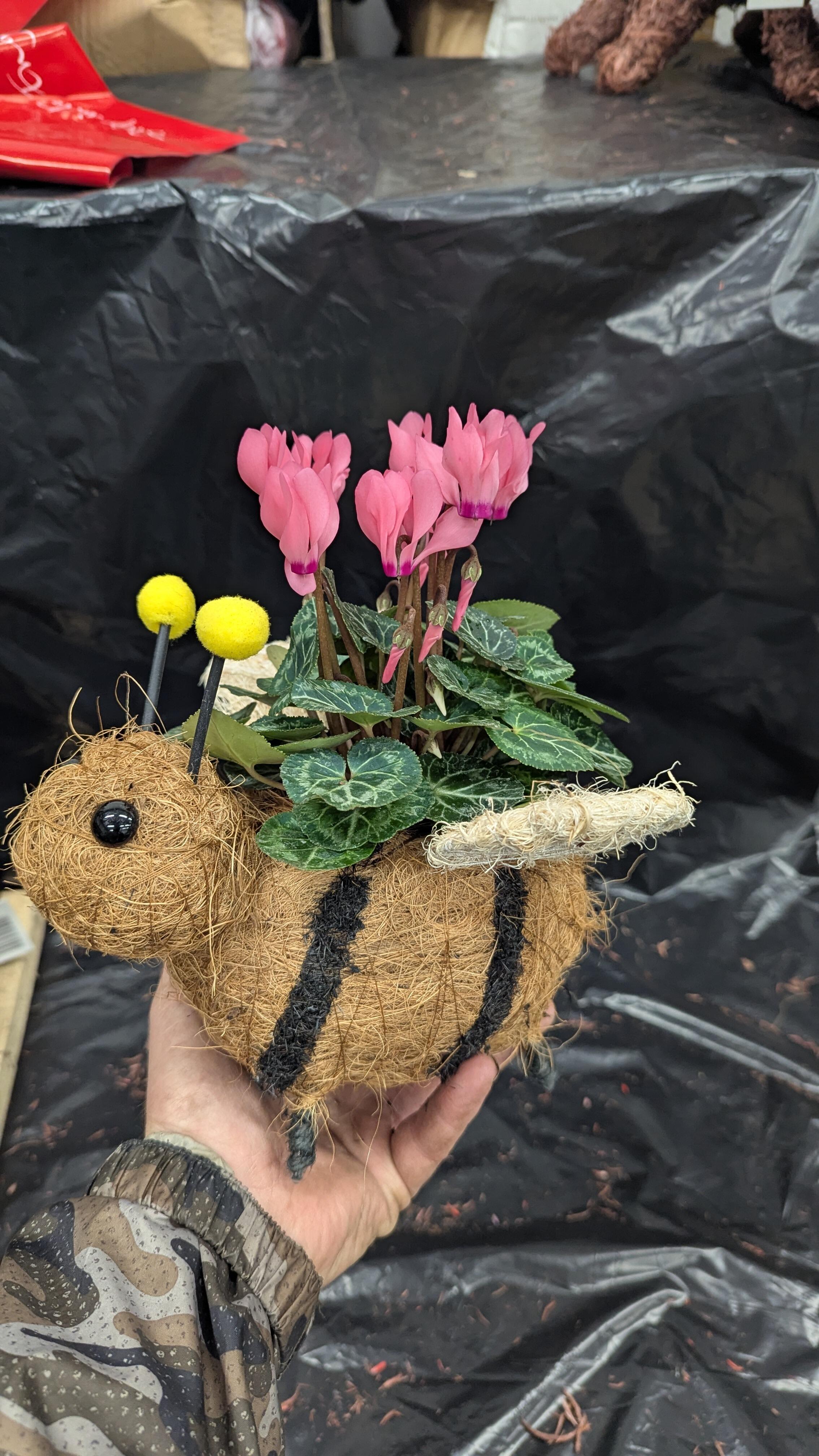 Bee planter