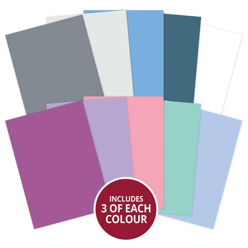 A Sparkling Season Adorable Scorable Selection