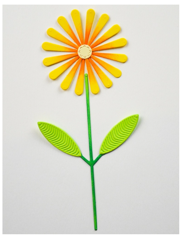 Birch Press Designs Block Print Daisy Flower Die Set