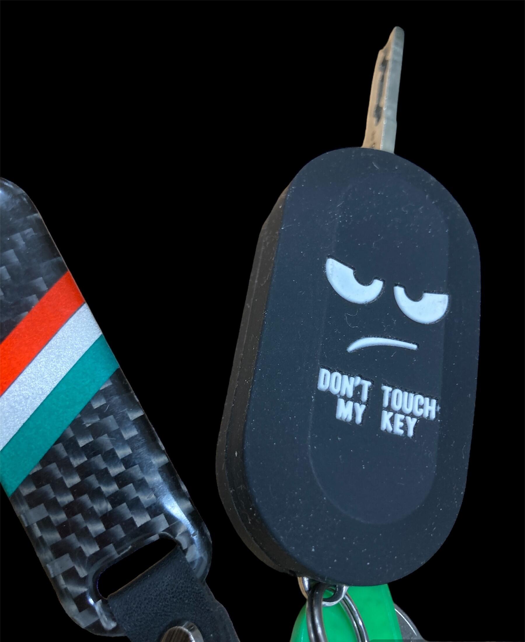 Enthused Key Cover Silicone "Dont Touch My Keys!" Complete with New Fob ...