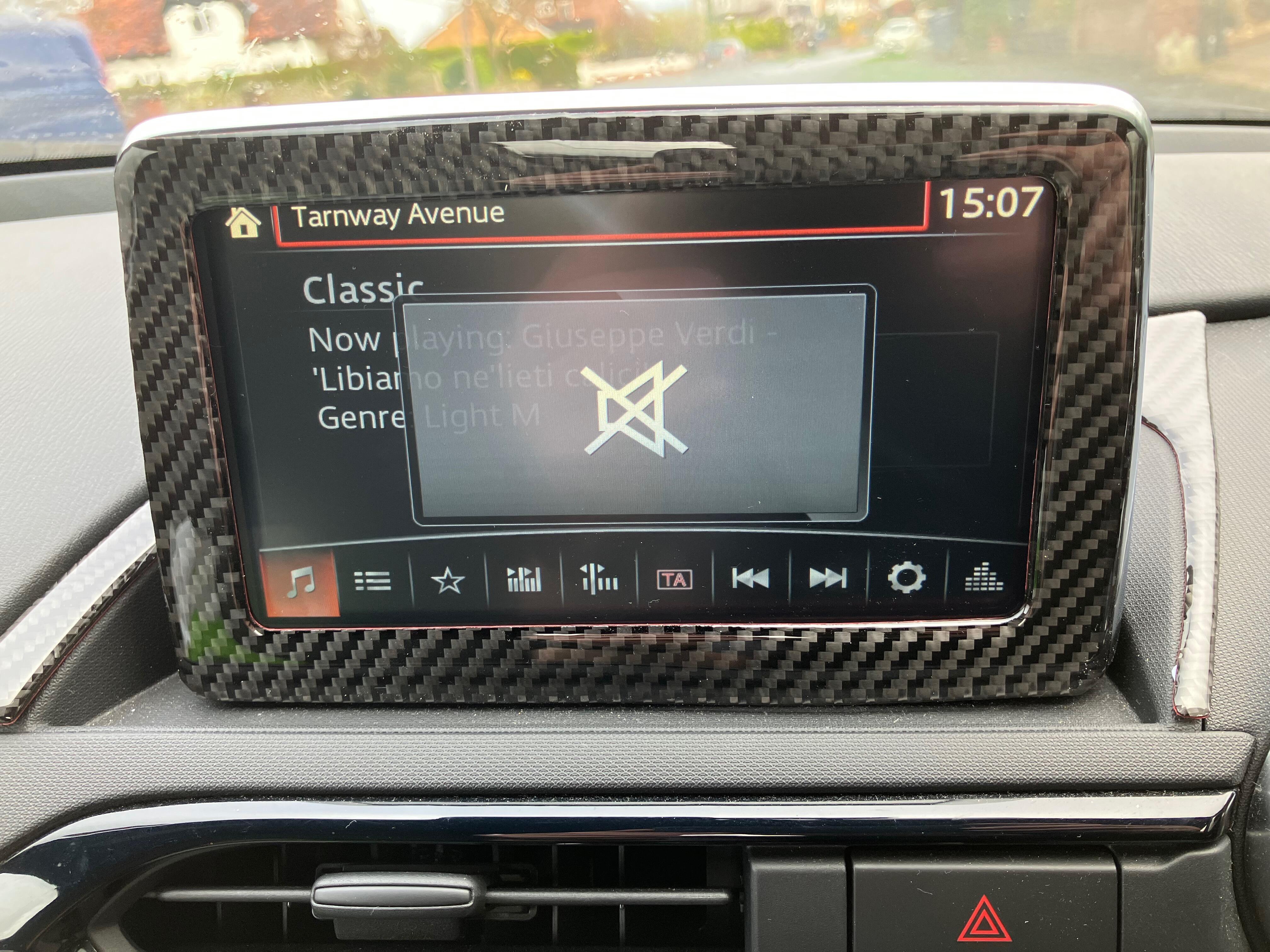 Enthused Genuine Carbon Fibre Gel 124/Spider Screen Garnish. Free Delivery!