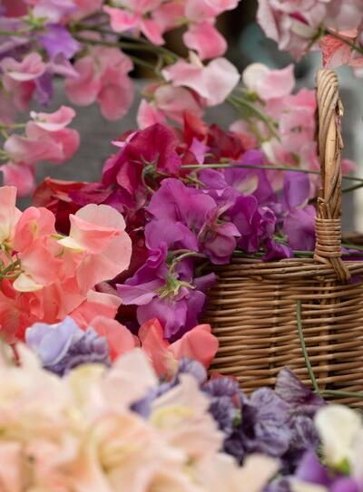 English Sweet Peas Gift Vouchers