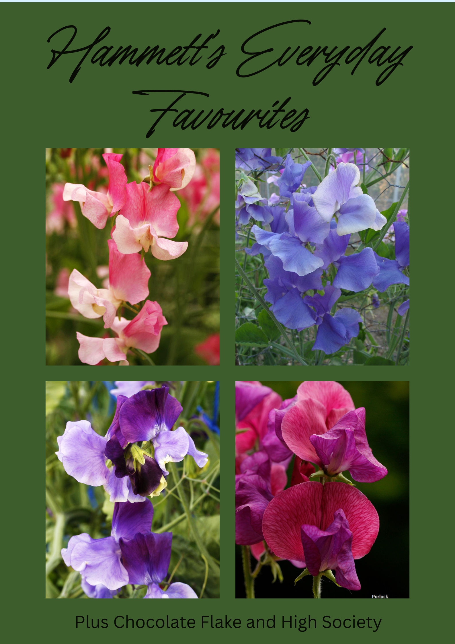 Hammett’s Everyday Favourites Collection