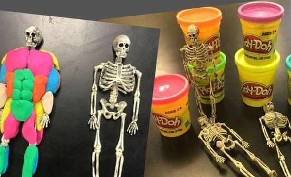 Artistic Anatomy-A Unique Approach To Anatomy For Students Who Love To ...