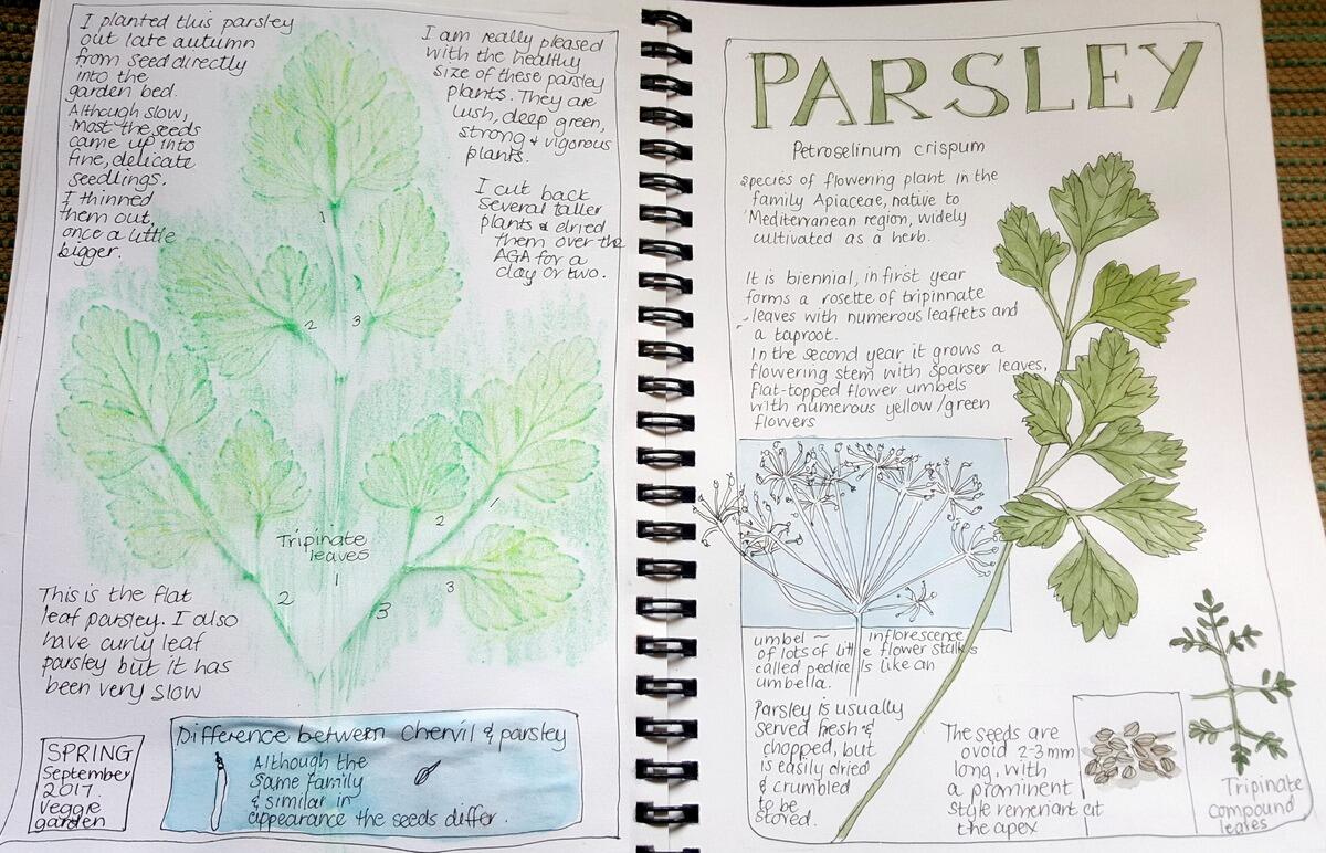 Herbology For Students