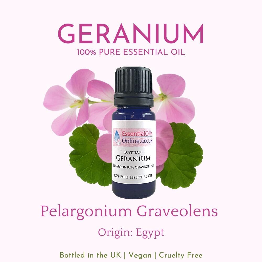 Buy Egyptian Geranium Essential Oil | Essential Oils Online UK ...