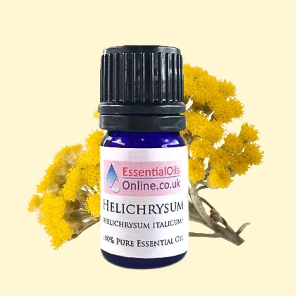 Helichrysum Italicum essential oil | Essential Oils Online UK ...