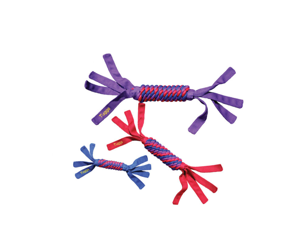 Kong Tugga Wubba Dog Toy