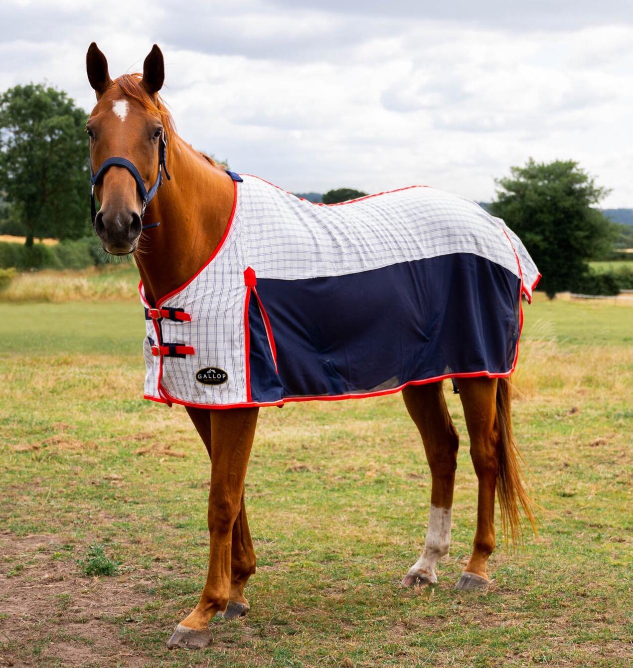 GALLOP AIR MESH SUMMER SHEET
