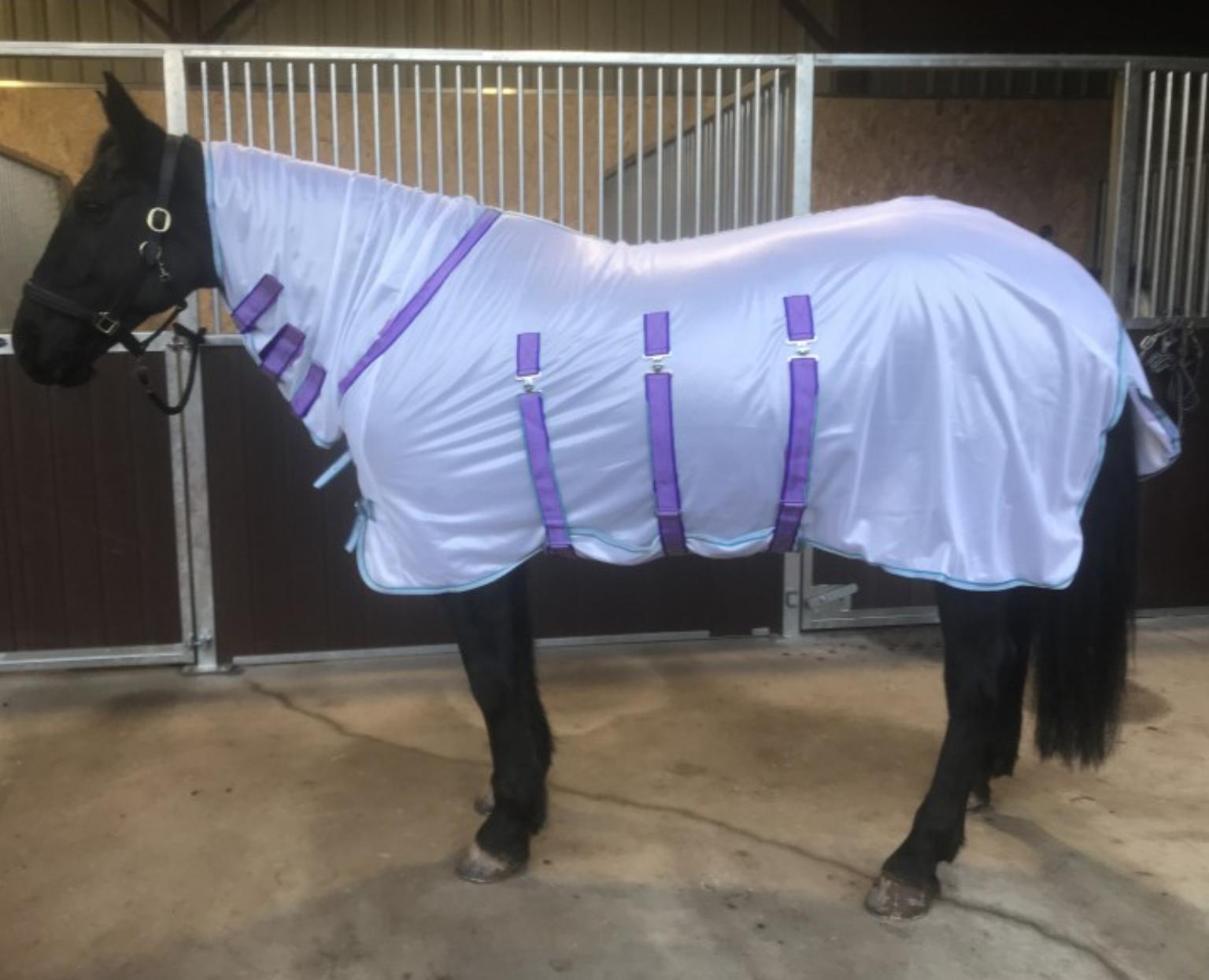 BUXTON COMBO FLY RUG