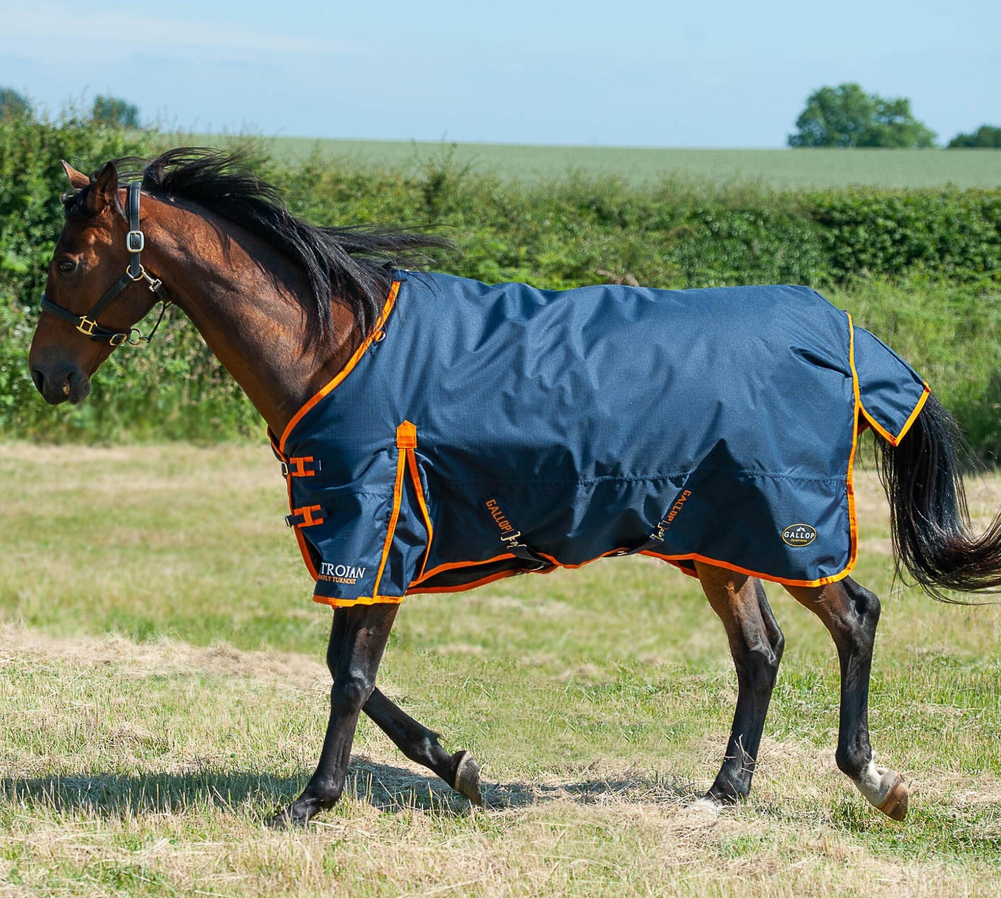 GALLOP TROJAN 100g STANDARD TURNOUT