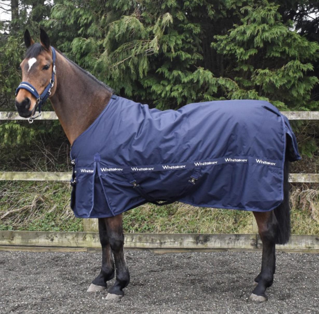 WHITAKER KIRKBY 100G TURNOUT RUG NAVY