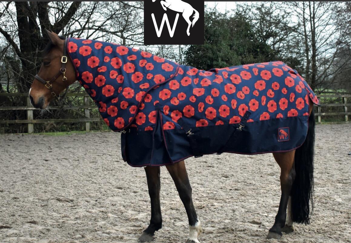 JOHN WHITAKER ISLA COMBO 200G TURNOUT RUG - DETACHABLE NECK