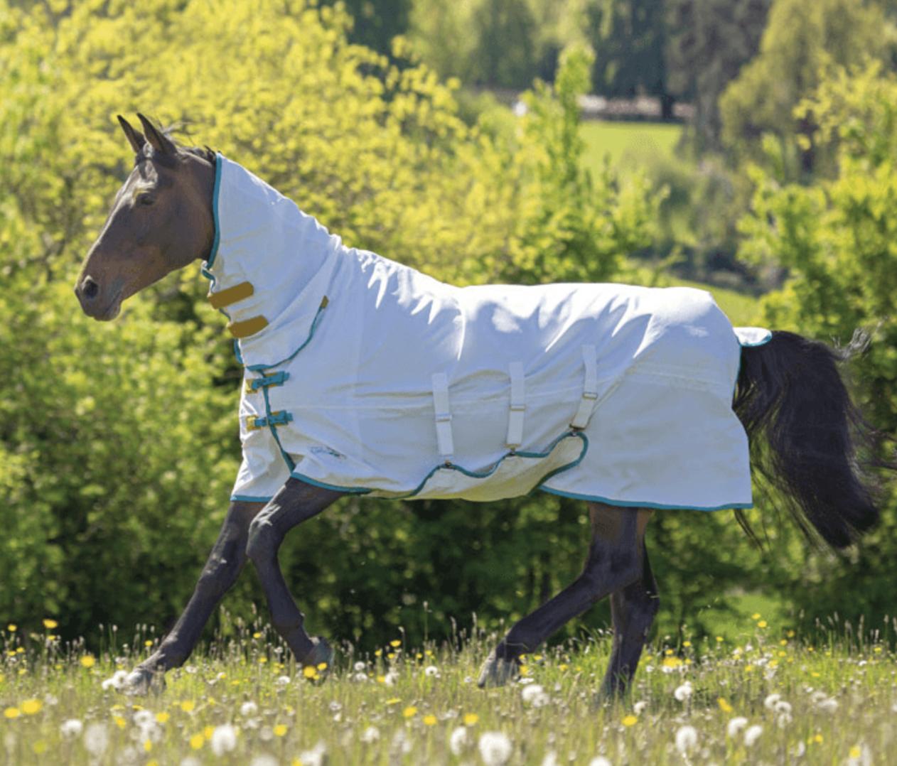 SHIRES TEMPEST PLUS SWEET-ITCH COMBO RUG
