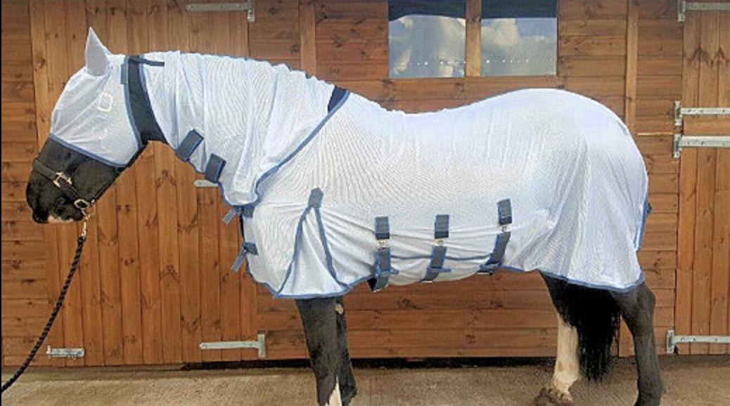 SHELDON MEDWAY COMBO FLY RUG WITH FREE MASK 6’6”