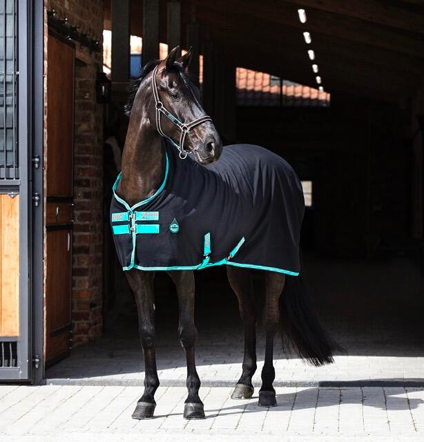 HORSEWEAR STABLE SHEET WITH MOISTURE MANAGEMENT Black / Teal