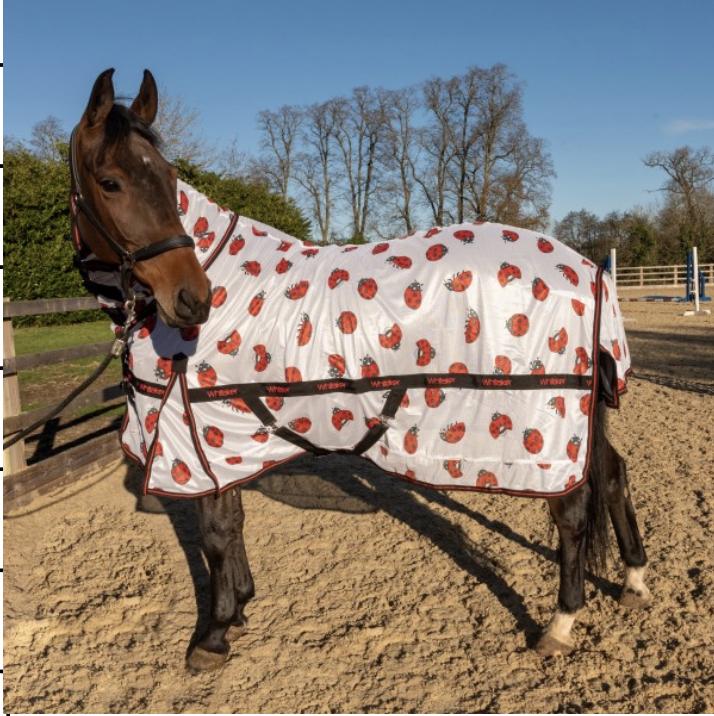 WHITAKER LADYBIRD FLY MESH RUG COMBO