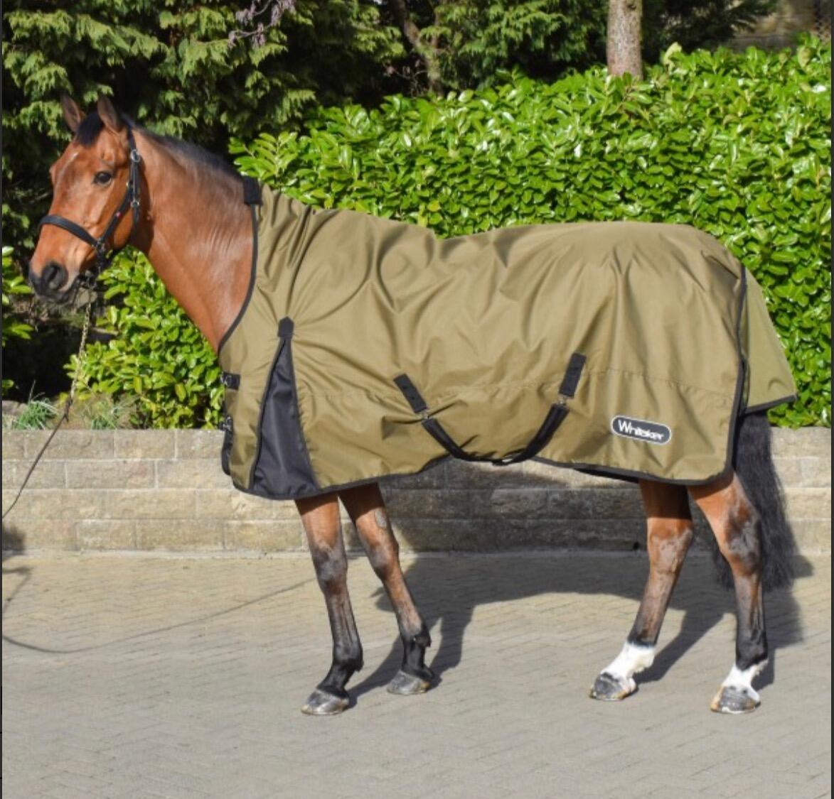 WHITAKER CARLTON MIDI NECK 0G TURNOUT RUG