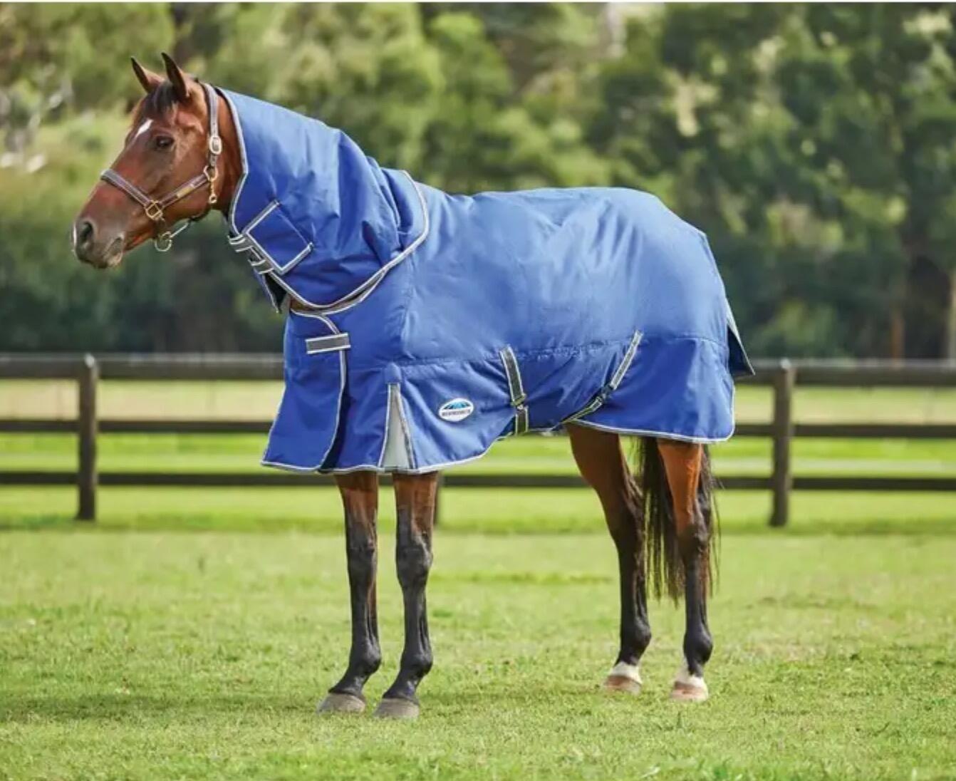 WEATHERBEETA DELUX RUGS