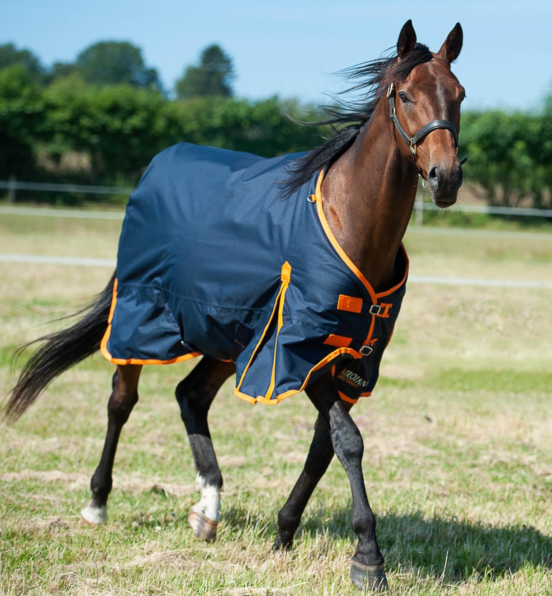 GALLOP TROJAN 100g STANDARD TURNOUT