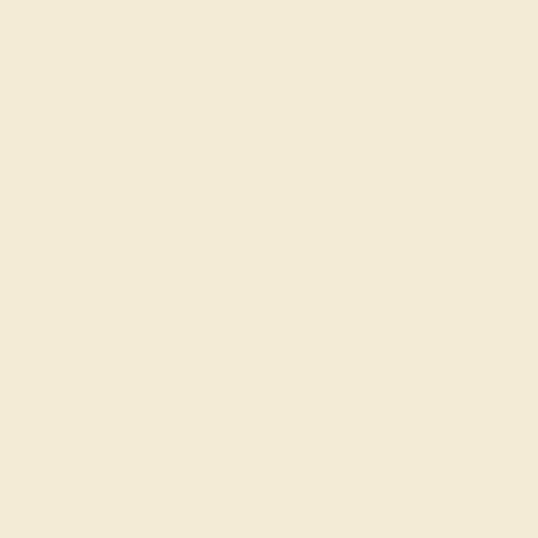 Solo Almost White Plain Matt Vinyl Flooring